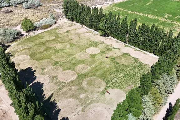 Producción mantiene presencia permanente en Picún Leufú | Neuquen Informa